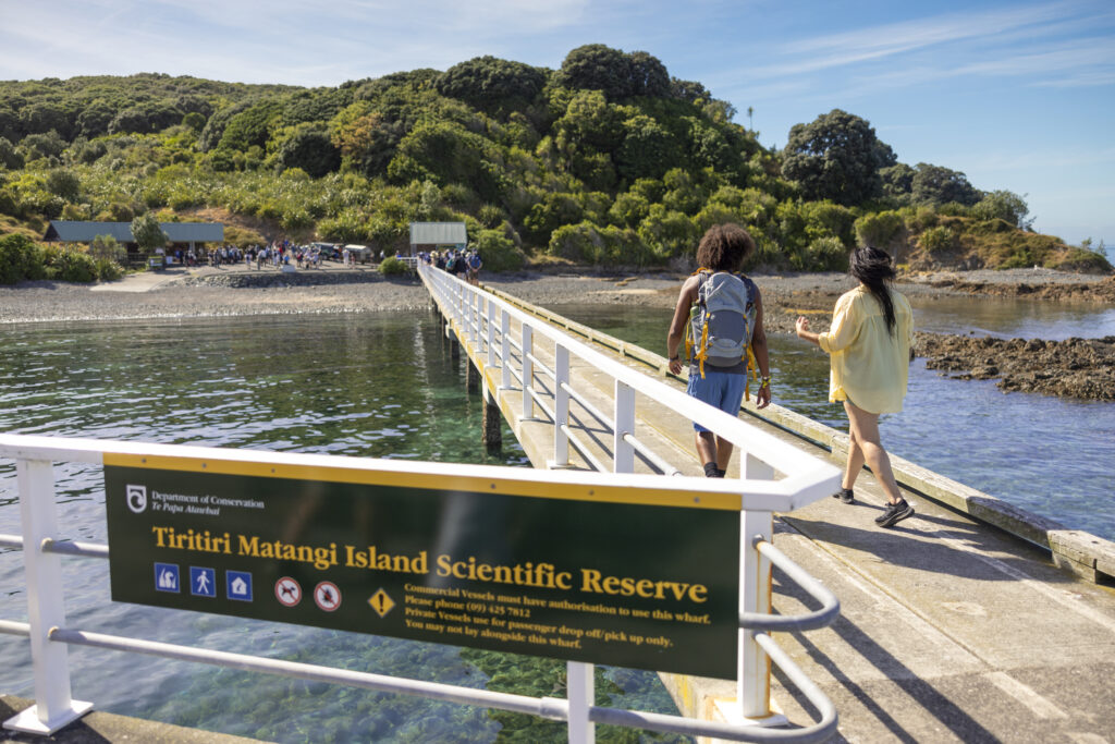 Tiritiri Matangi Island | Explore New Zealand